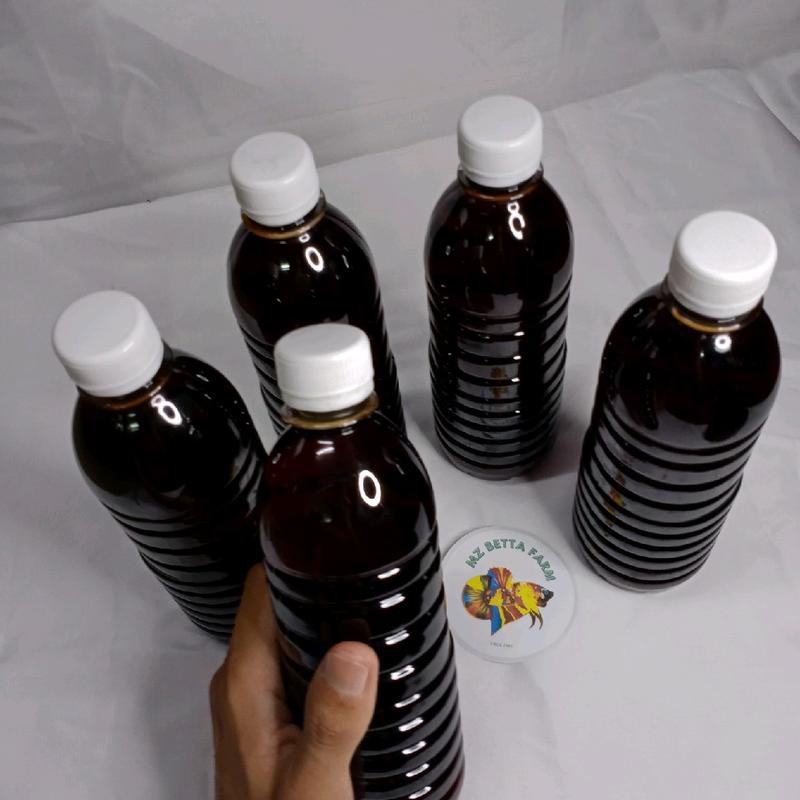 Black Water/ Pati Ketapang Hitam Padu 100% (500ml/1.25L) - TikTok Shop ...