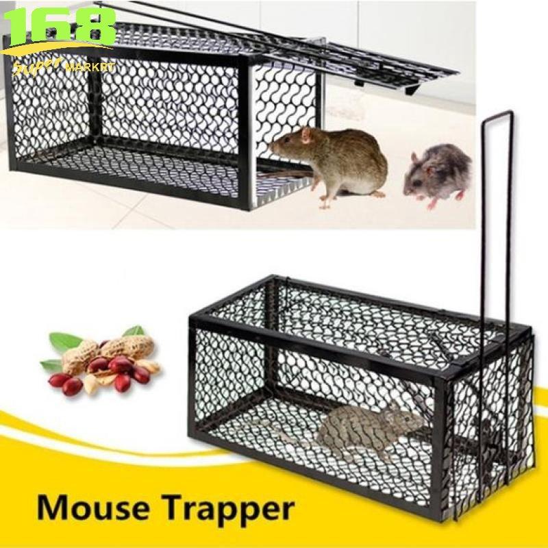 [CNW] Mouse Trap Rat Hamster Catch Bait Hunting Survival mousetrap ...