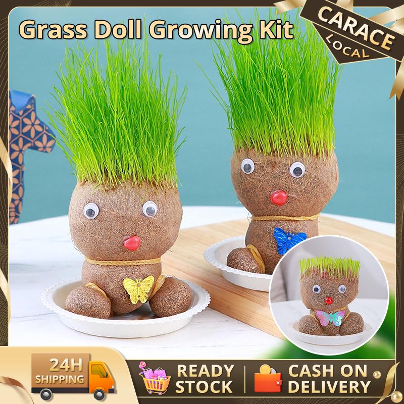 Grass Doll Growing Kit Cat Grass Doll Desktop Green Plants Potted ...