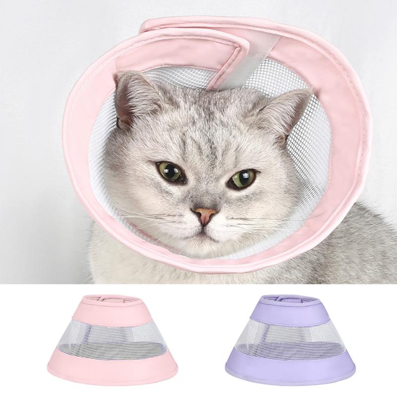 kitesiy Cat Recovery Collar Comfortable Wear-resistant Cat Protective ...