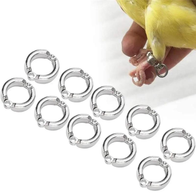 Parrot Foot Rings Metal Pet Bird Leg Rings Outdoor Fly Training ...