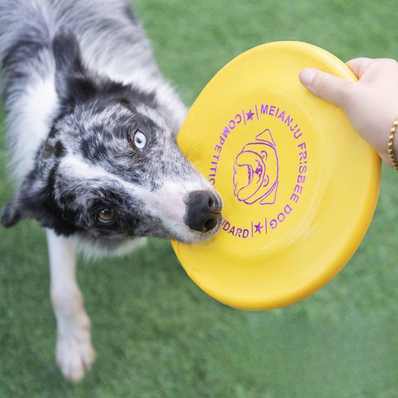 Standard Competition Frisbee Bite-Resistant Frisbee Pet Toy Frisbee ...