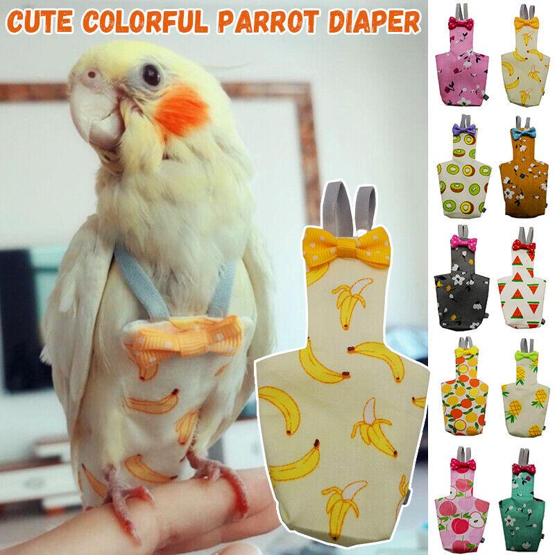 Parrot Diapers Reusable Cockatiel Pigeons Nappy Flight S/M Pet - TikTok ...