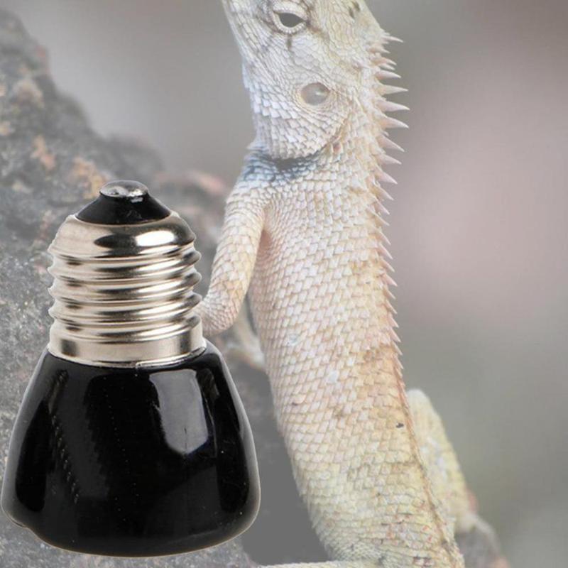 Mini E27 Black Ceramic Material Far Infrared for Turtle,Lizard,Chicken ...