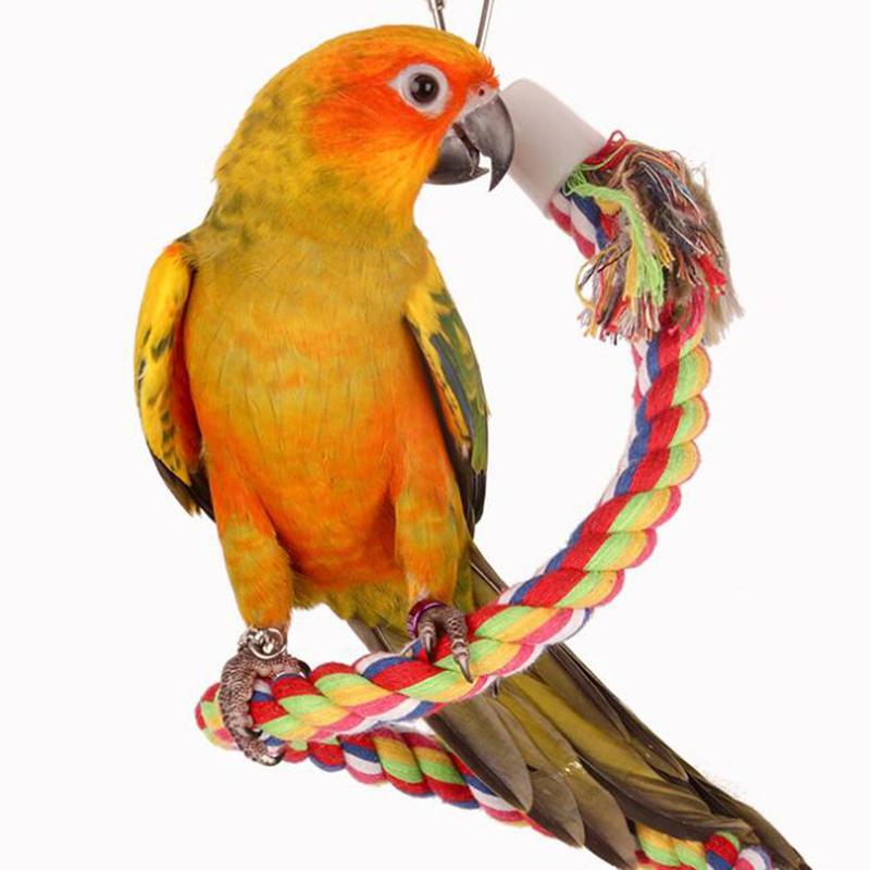 Mainan Tali Sangkar Burung Kakak Tua, 1 Keping, Pelbagai Warna ...