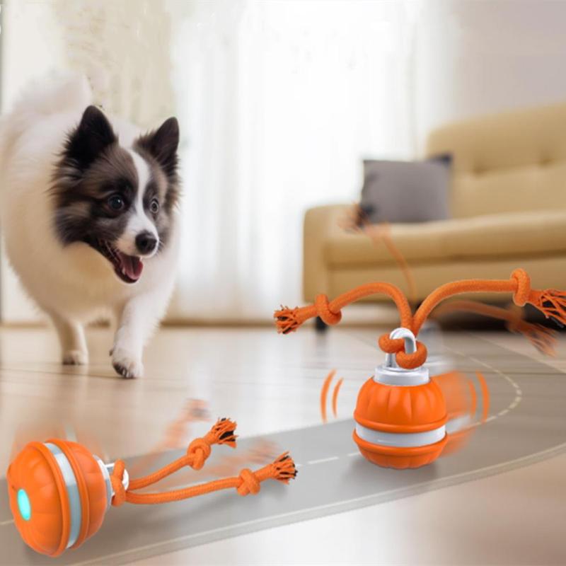 USB Rechargeable Electric Smart Rolling Ball Toy, Interactive Pet Toy ...