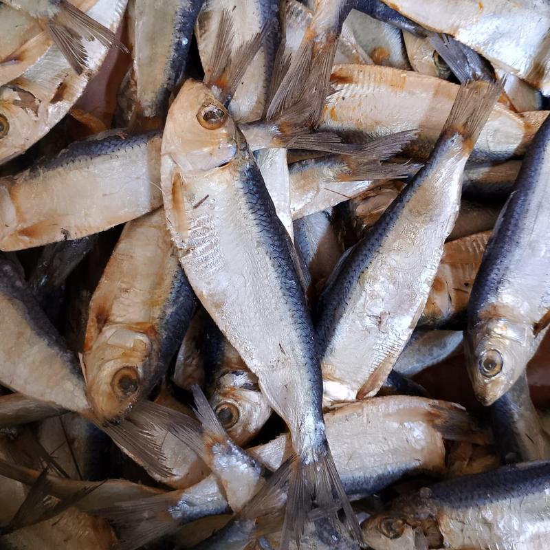 Ikan asin tamban / tembang / juwi / tanjan - Shop | Tokopedia