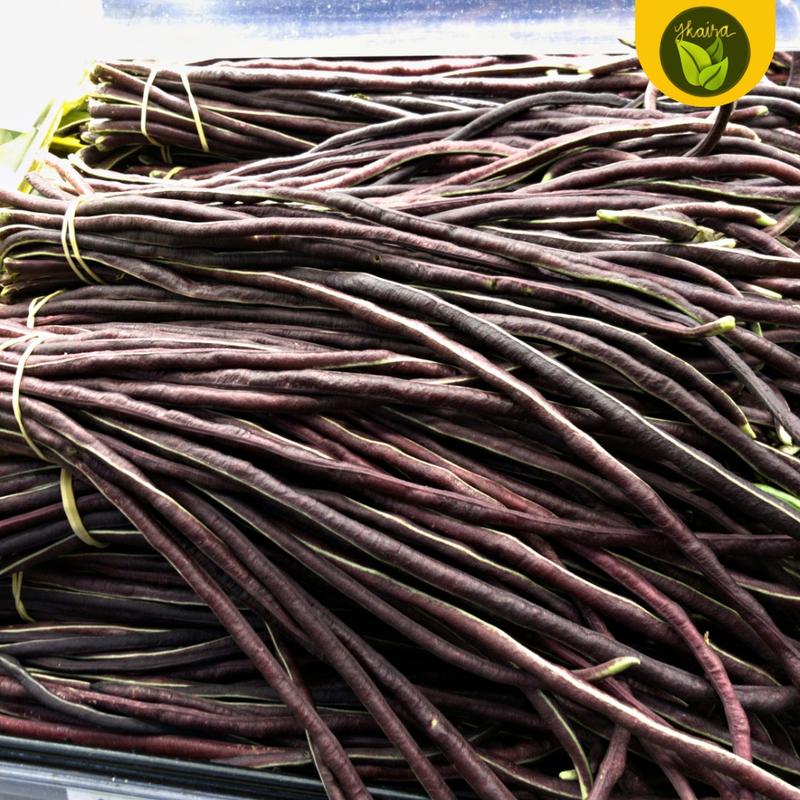 7 seeds red sitaw binhi pantanim - TikTok Shop Philippines