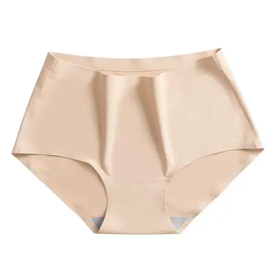 BUY 6 TAKE 1 Umiwear Ice Silk Seamless Panty Plain Premium Quality ...