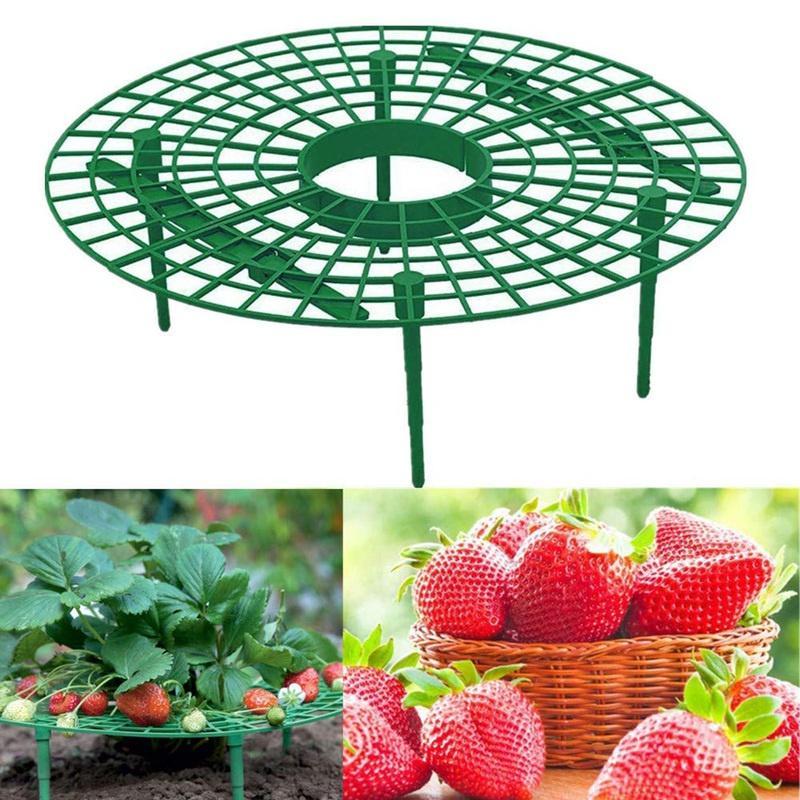 5PCS Strawberry Stand Frame Holder Balcony Planting Rack Fruit - TikTok ...