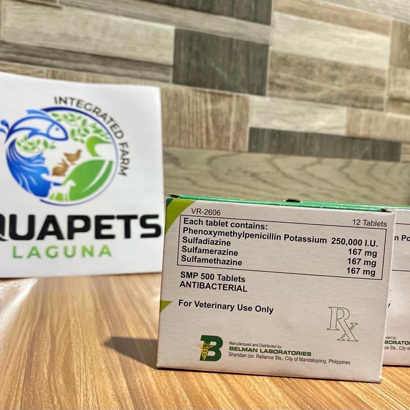 Belman SMP 500 tablets (12 tablets) / Poultry / Gamefowl - TikTok Shop ...