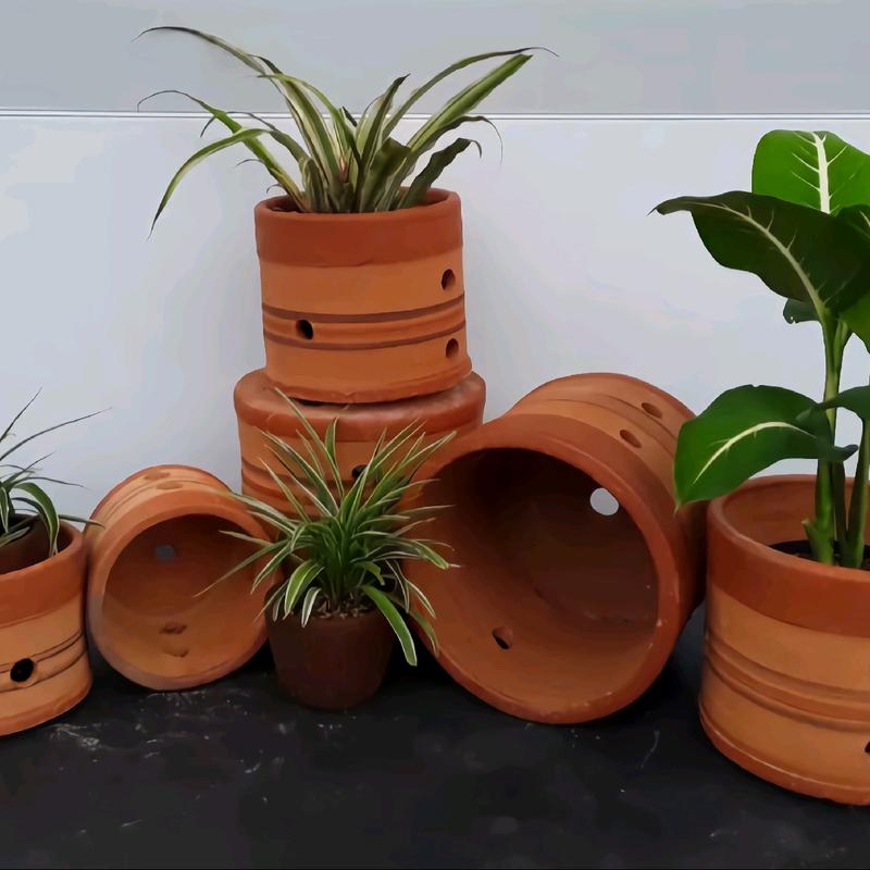 pot angbul mini kondisi spike/knop dapat 3 pot - Shop | Tokopedia