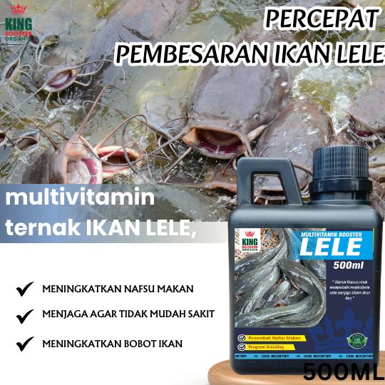 Vitamin Booster pertumbuhan lele / Vitamin Probiotik lele 500ML - Shop ...