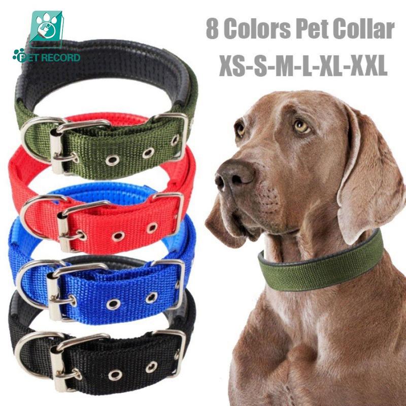 Dogs Collars Pet big dogs Collars Color Foam Pet Collars for - TikTok ...