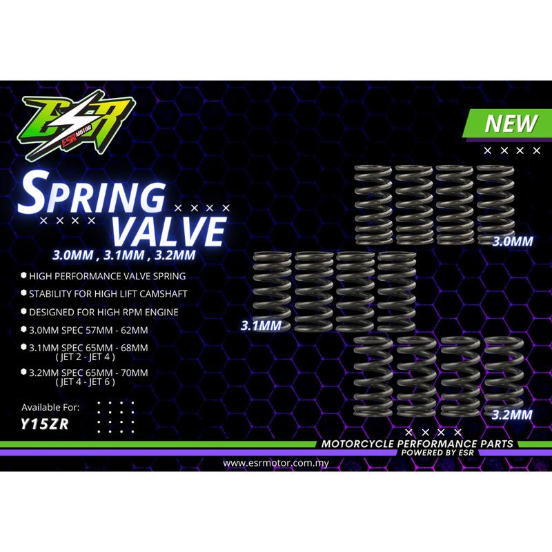 ESR MOTOR RACING VALVE SPRING & SEAT VALVE SPRING - TikTok Shop Malaysia
