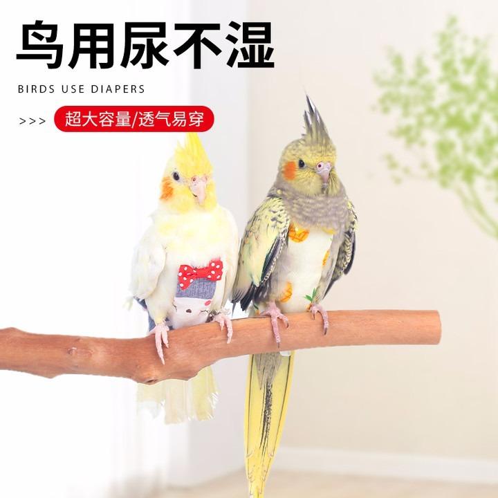 Parrot Clothes Shit Pocket for Birds Baby Diapers Xuanfeng Peony ...