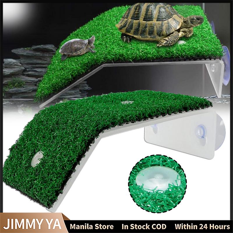 Turtle Rest Platform Simulation Grass Turtle Ramp Lawn Tortoise ...