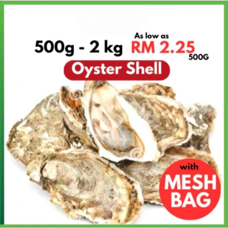 500g 1kg 2kg Natural Oyster Shell Kulit Tiram Kulit Kerang Aquarium ...