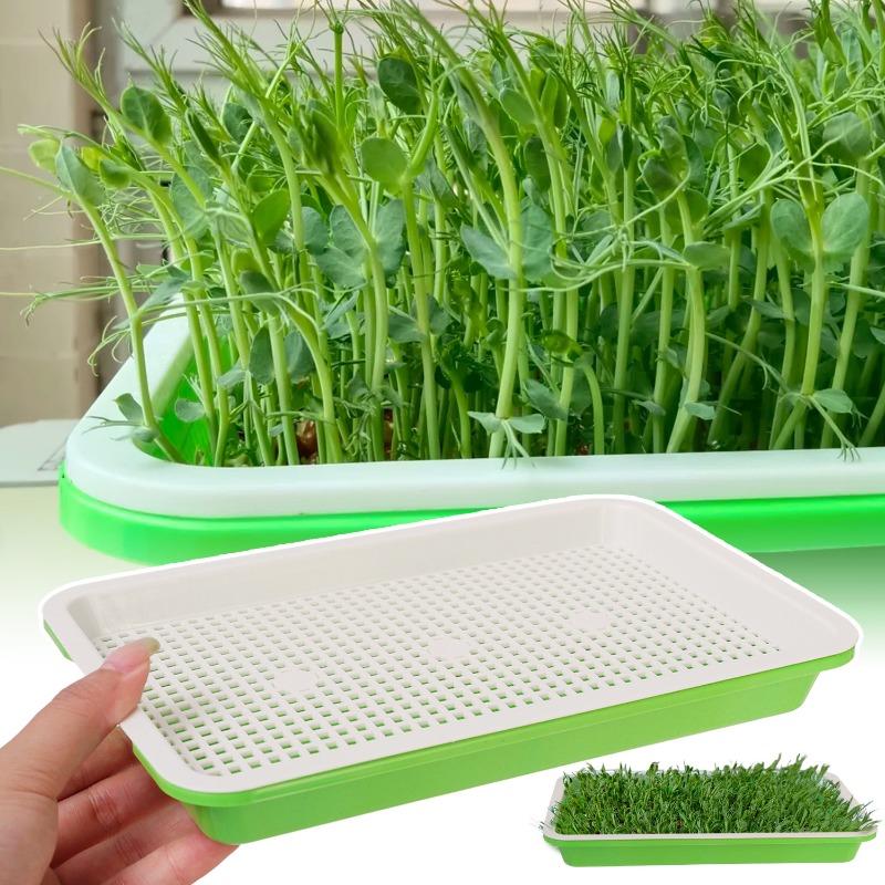 Sprouter Tray Soilless Culture Seedling Trays Garden Greenhouse ...