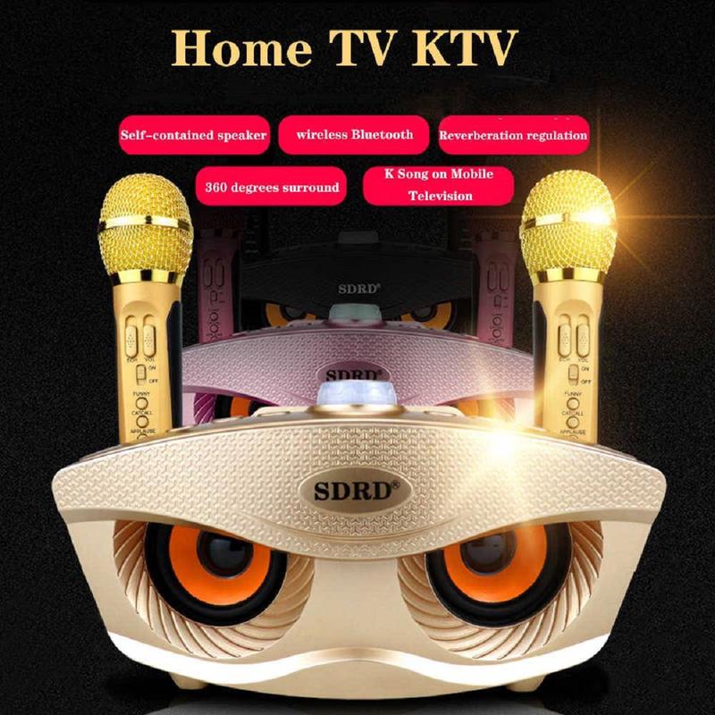 Hot SDRD SD-306 Wireless Bluetooth Dual Microphone Karaoke Portable ...