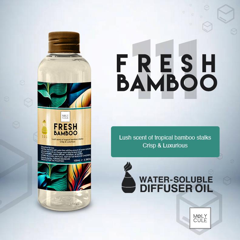 MOLYCULE Fresh Bamboo Humidifier Diffuser Oil Water Soluble ...
