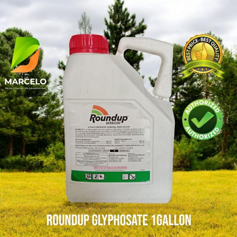 Roundup Herbicide Glyphosate 1000ml/1gallon RPUND UP -BAYER - TikTok ...
