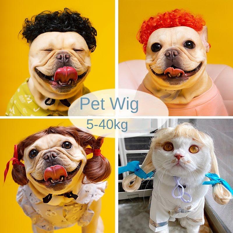 Pet Dog Cat Funny Cute Wig Yarl Aviation Bull Pug Golden Retriever ...