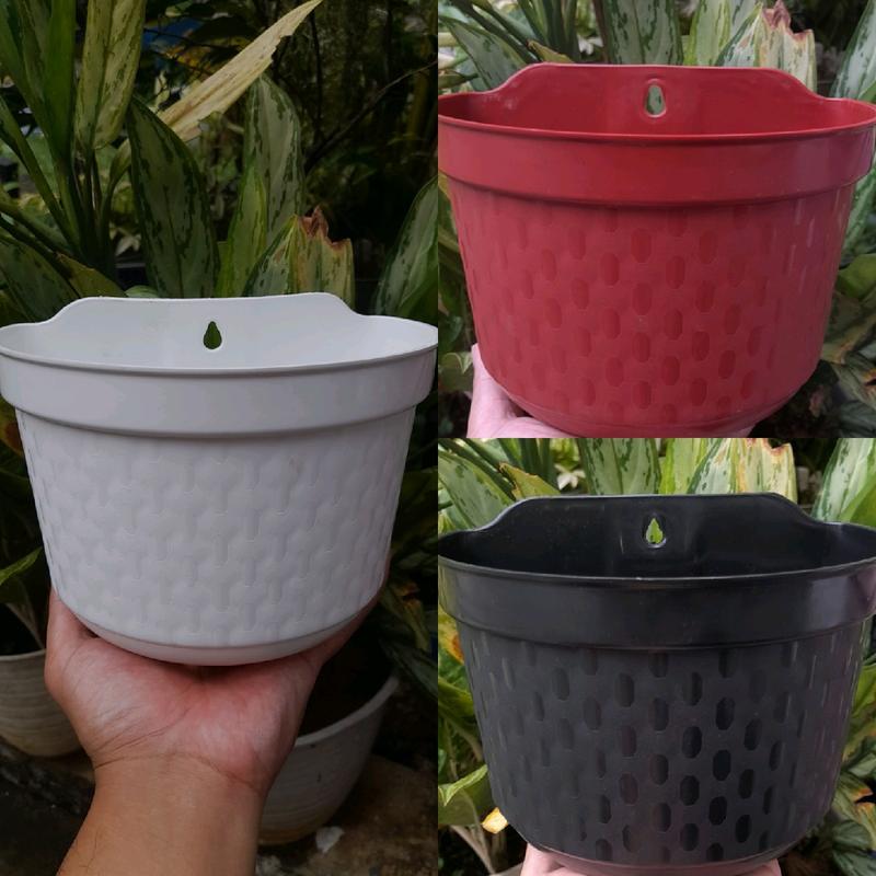 Pot tembok 20 - Shop | Tokopedia