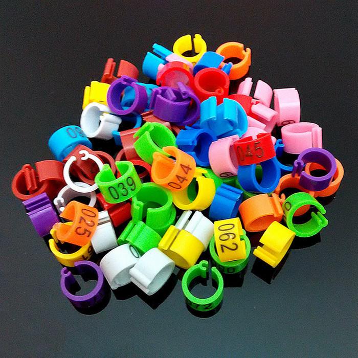 Identification Ring 8-7 for Pigeons 10 Colors - TikTok Shop Singapore