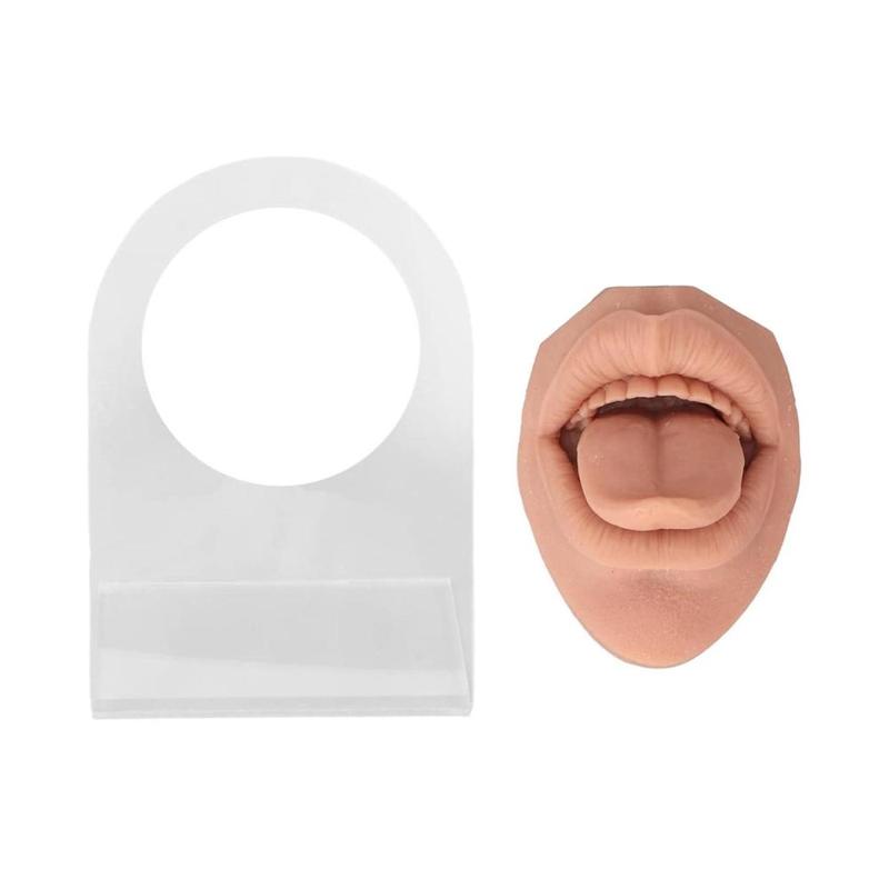 3D Silicone Tongue Mouth Model Reusable with Display Stand Human ...