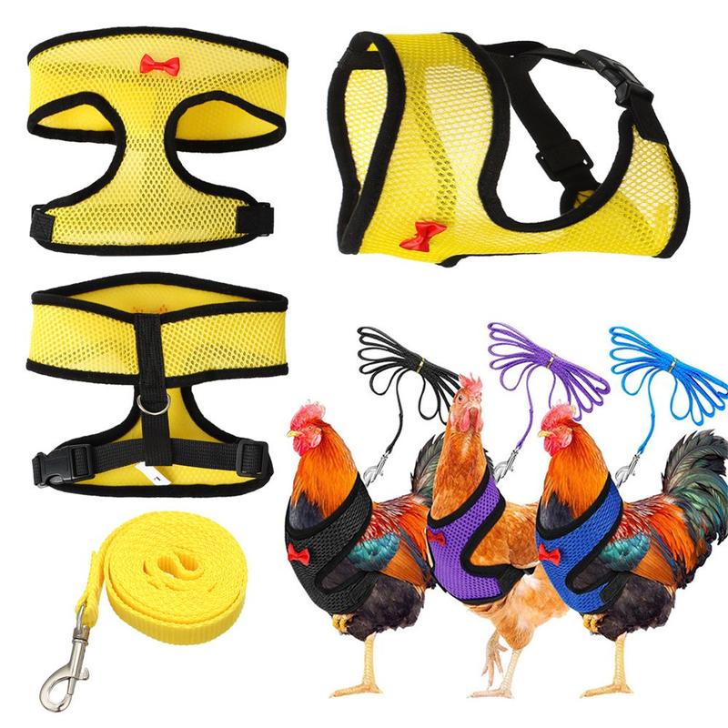 Best Gift Duck Goose Poultry Supplies Harness Chicken Vest Pet - TikTok ...