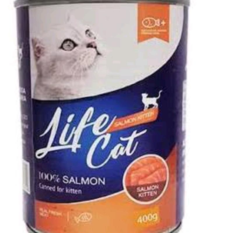 life cat kaleng 400 gram salmon kitten - Shop | Tokopedia