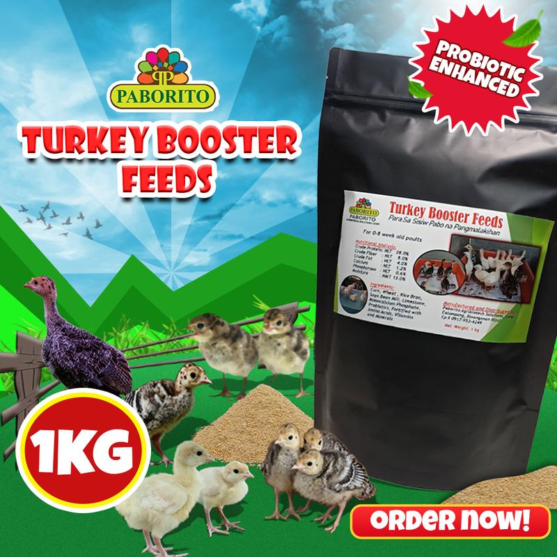 Probiotic-enhanced Turkey Booster Feeds 1KG | Poultry Feeds - TikTok ...