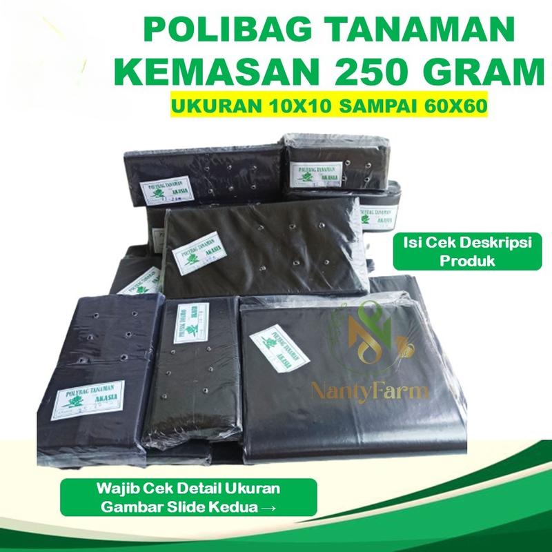 Polybag Polibag Polibek Pot Plastik 250gram 10x10 10x12 10x15 12x12 ...