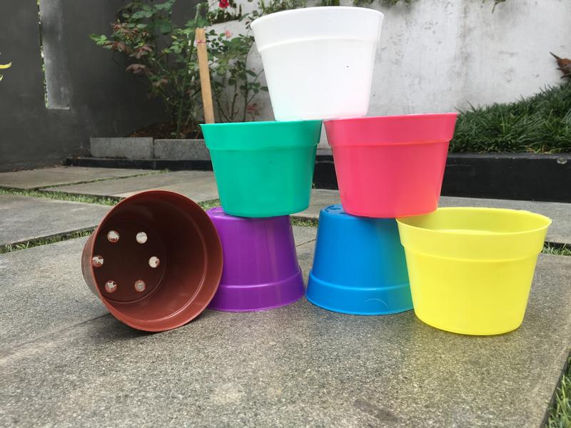 Pot Tanaman Benih uk 10 warna warni - Shop | Tokopedia