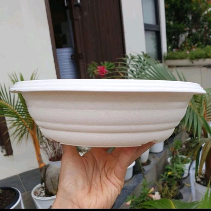 Promo Pot bonsai 25, pot ceper putih, pot bulat murah, bullstar Bunga ...