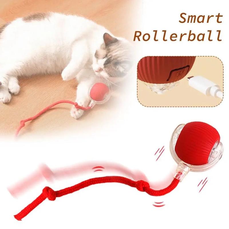 Creative Automatic Smart Cat Toys Rechargeable Fast Rolling Dog ...
