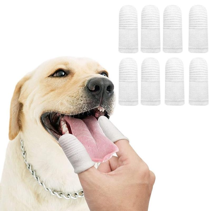 Mini 8/12pcs Bite resistance for Teeth Cleaning Soft Non-woven - TikTok ...