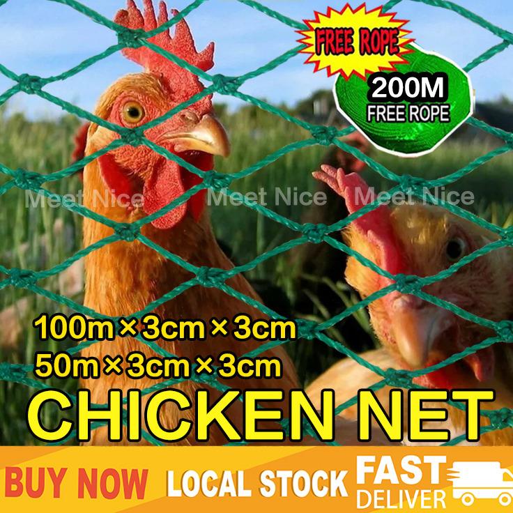 FREE ROPE Chicken Net 20M/50M/100meters Farm Poultry Poly Range ...