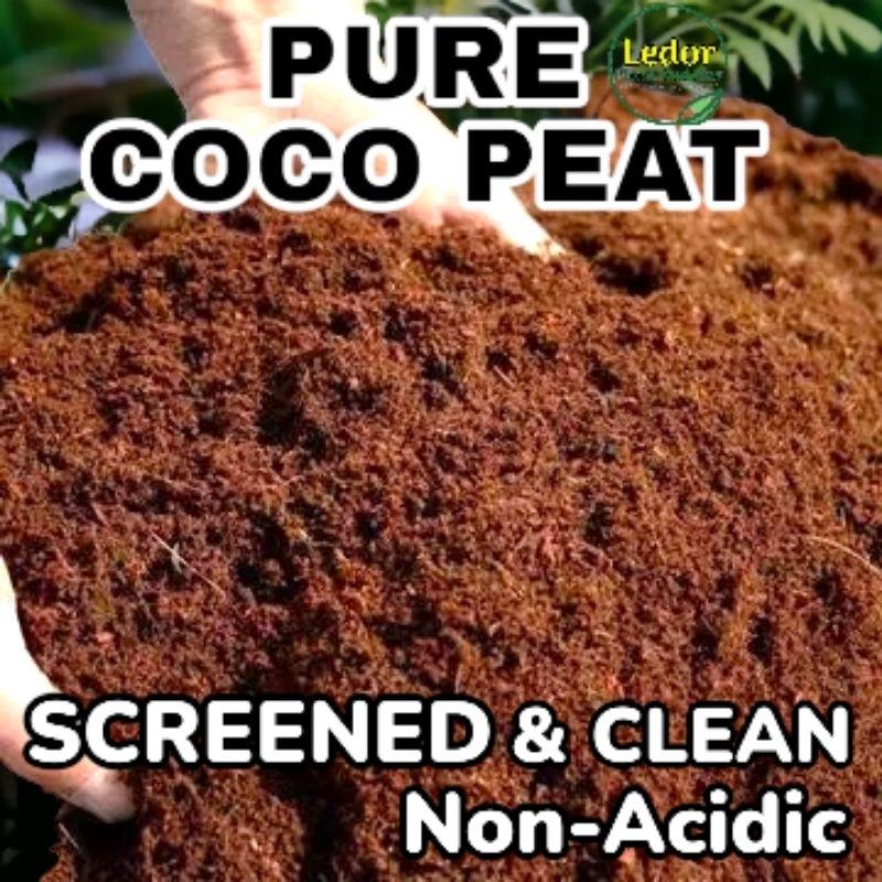 Coco Peat Pure 2 & 4 Liter Screened Cocopeat for seedling hydroponics ...