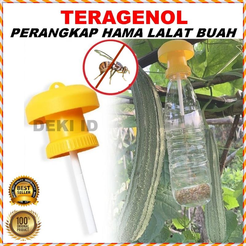 Perangkap Lalat Buah Teragenol Tempat Petrogenol Pengendali Hama Yellow ...
