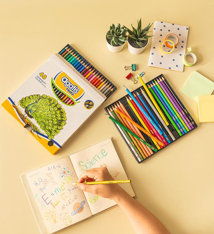 Promo Agatis Prime Hexagonal Colour Pencil Set 48 - Jakarta Pusat ...