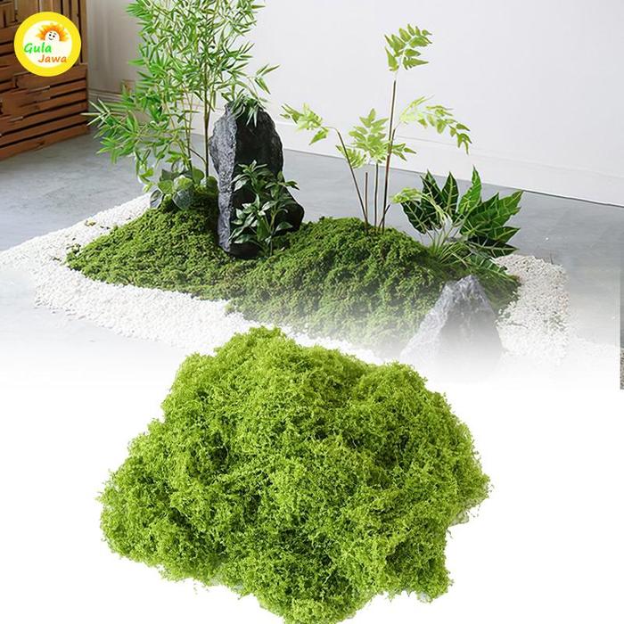 Jual Dried Moss Preserved/Dried Moss/Lumut Asli/Dekorasi Moss - Kab ...