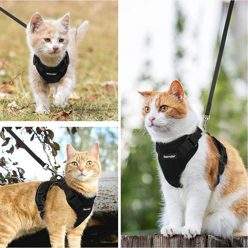 Cat collar Anti-loosening Adjustable pull Cat leash Cat leas - TikTok ...