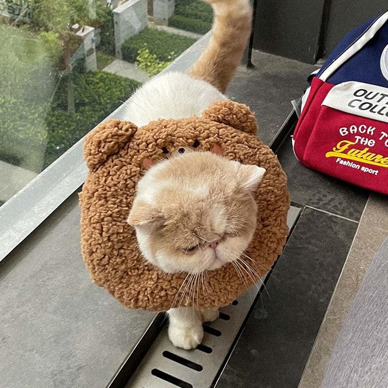Circle Plush Elizabeth Cat Collar Anti Lick Soft Anti Scratc - TikTok ...