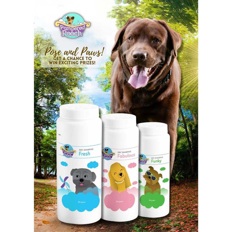 PlayPets and Pampered Pooch Powder Dry Shampoo 150grams Dog and ...