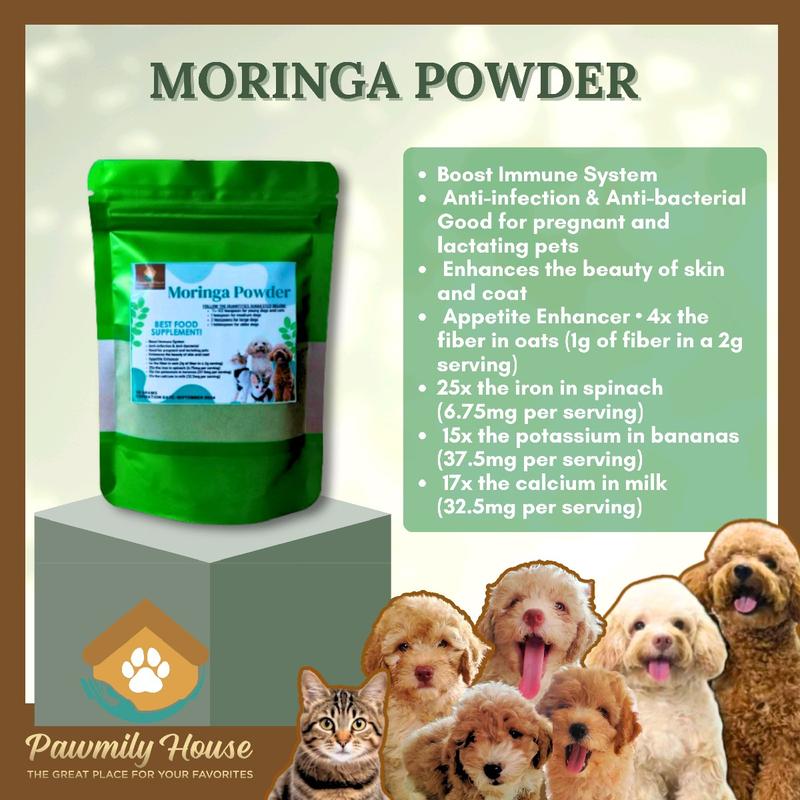 PH MORINGA POWDER/MALUNGGAY POWDER - TikTok Shop Philippines