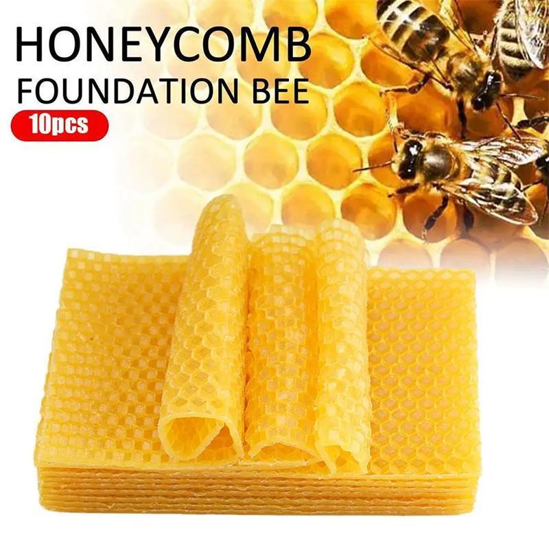 FE 10pcs Beeswax Honeycomb Base Honeycomb Sheet Deep Chamber - TikTok ...