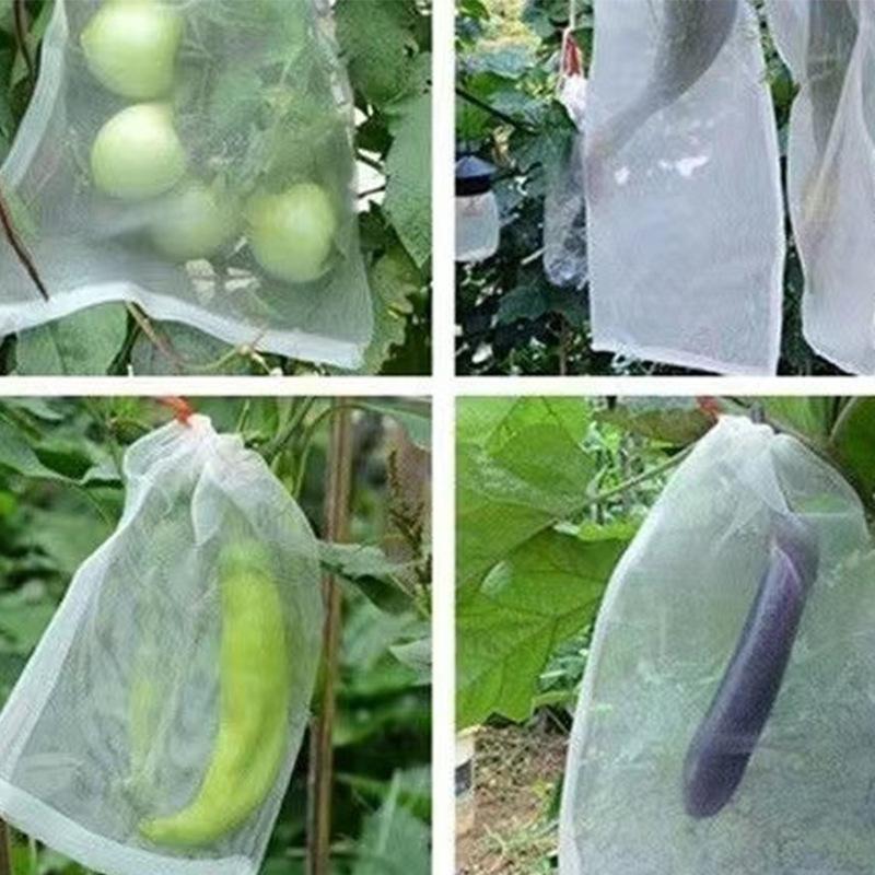 Nylon Mesh Bag Fruit Pest Bag Anti-bird Bag Fruit Protection - TikTok ...
