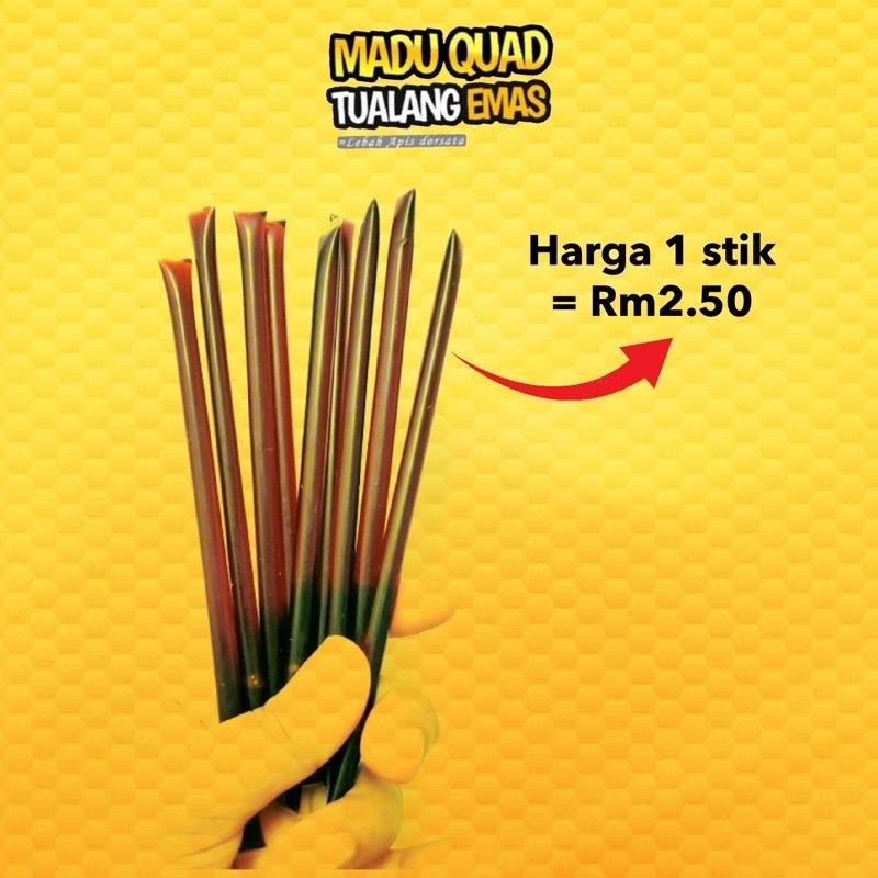Madu Quad Stick 1pcs (7-8g) - TikTok Shop Malaysia